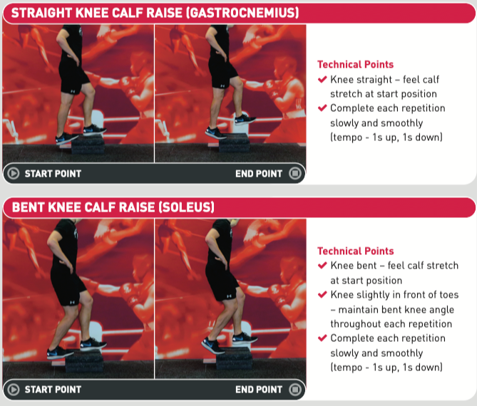 Posterior chain - 205 Academy