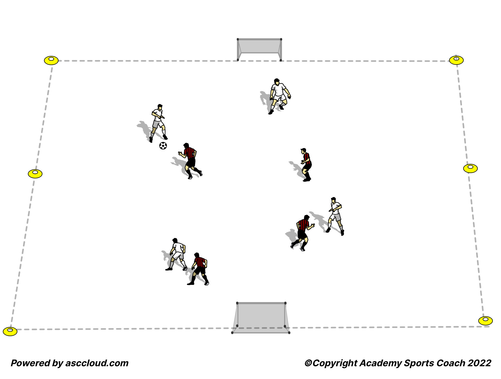 Activity variables - field dimensions - 205 Academy
