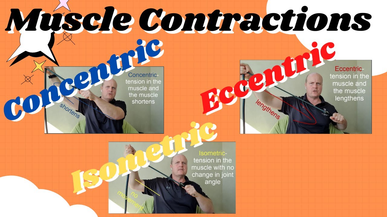 Isometric, eccentric, concentric - 205 Sports