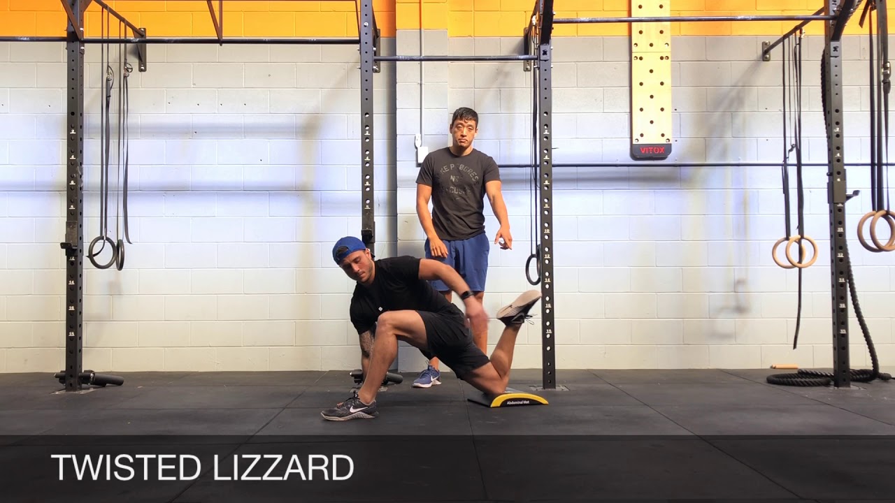 Twisted lizard - 205 Sports